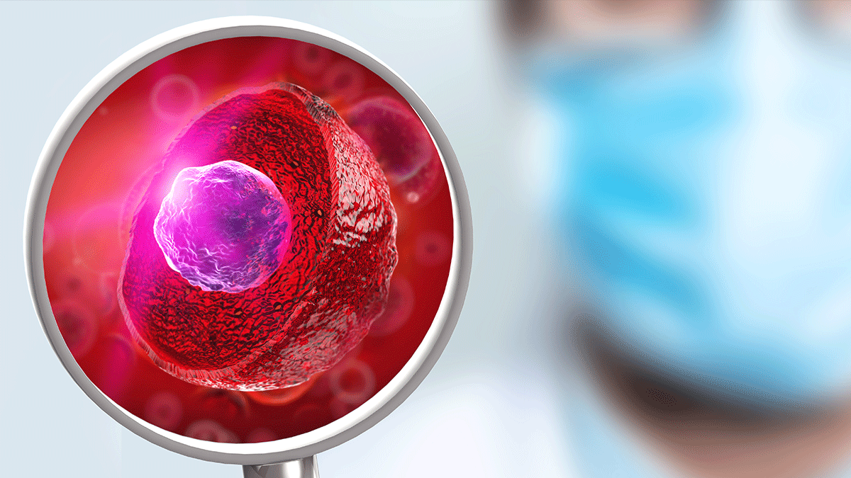 damage-to-the-immune-system - Doctor ASKY